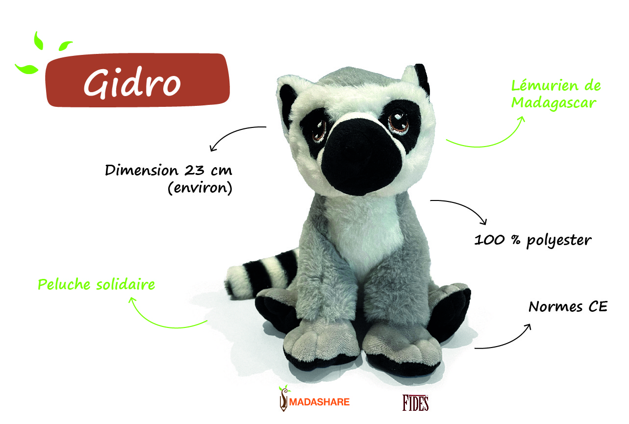 Adoptez Gidro, le lémurien solidaire de Madagascar – Madashare